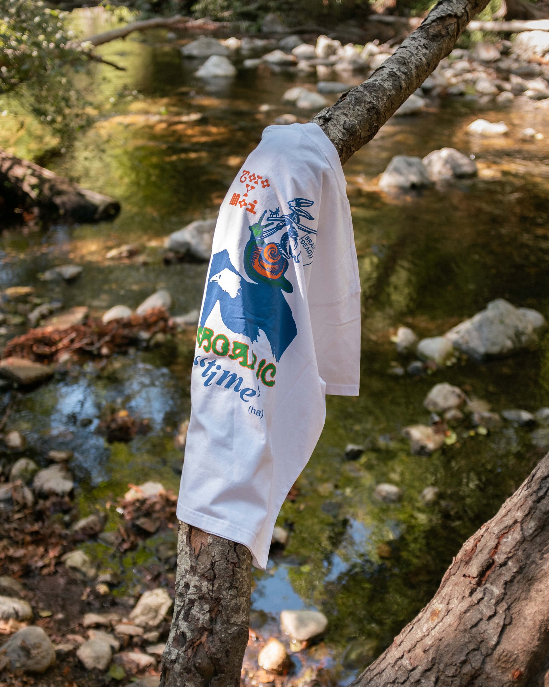 Brain Dead x Toro y Moi