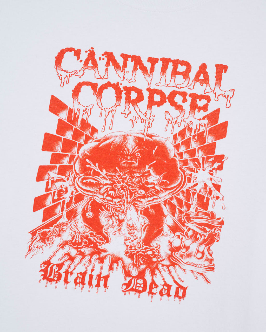 cannibal corpse discography zip